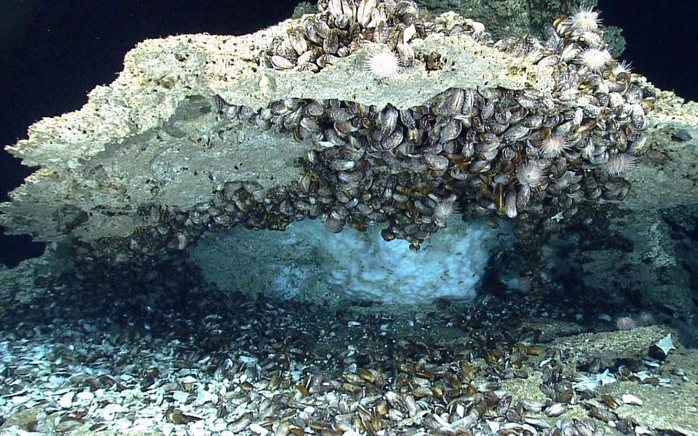 Oil and Gas Exploration - Geometrics : Geometrics