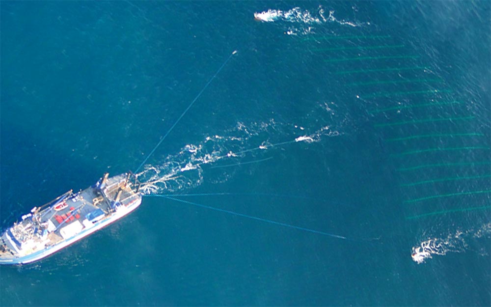 Oil and Gas Exploration - Geometrics : Geometrics